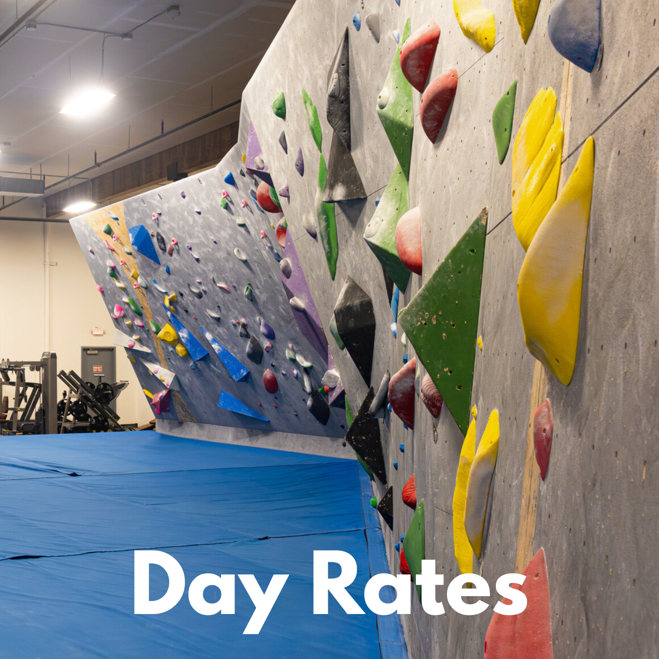 Day Rates (3)